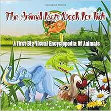 The Animal Facts Book For kids: A first Big Visual Encyclopedia Of ...