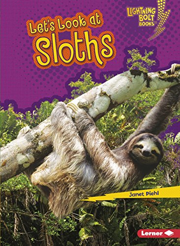 Let's Look at Sloths (Lightning Bolt Books ® ― Animal Close-Ups): Piehl ...