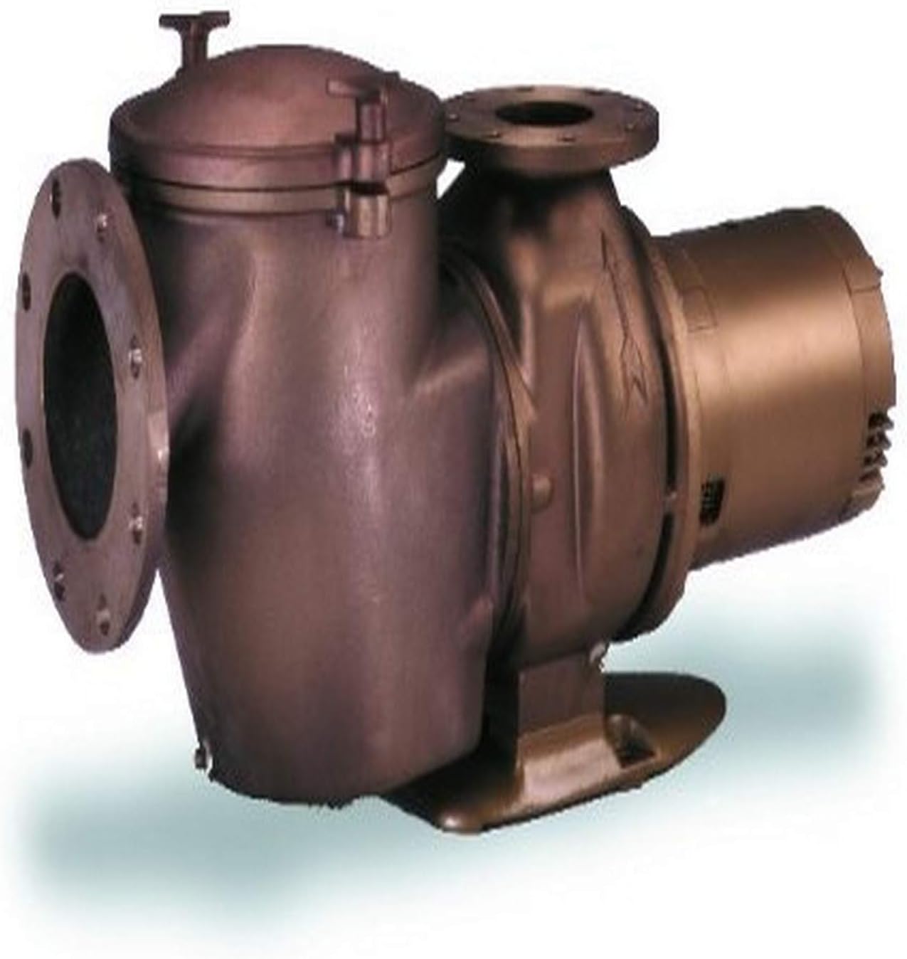 Amazon.com : Pentair 348001 CM-75 C Series Commercial Bronze Pump 7-1/2 ...