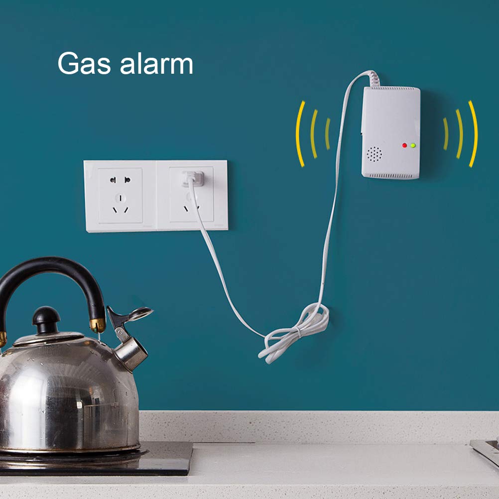 Prodotti di sicurezza per stabilimenti allarmi gas da cucina gas ...