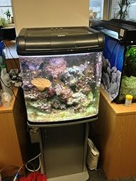 Kent Marine Bio Reef Ready LED Aquarium, 94 Litre: Amazon.co.uk: Pet ...