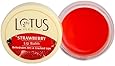 Buy Lotus Herbals Lip Balm, Fruity Fusion, 5g Online at Low Prices in ...