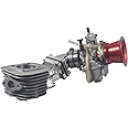 Amazon.com: jtfrkope Dio reed valve cylinder Carburetor Kit For 66cc ...