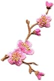 Amazon.com: ID #6262 Pink Cherry Blossom Sakura Flowering Tree Branch ...