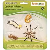Amazon.com: Safari Ltd. Life Cycle of a Luna Moth - Realistic ...