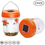 Aspectek Wasp Trap 2-Pack - Traps Wasps, Bee Traps Hornets, and Bees ...