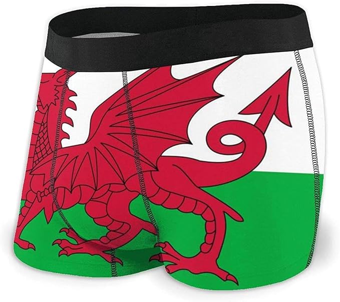 Brief Flag of Wales Welsh Brief Shorts Underwear Lightweight Men's ...
