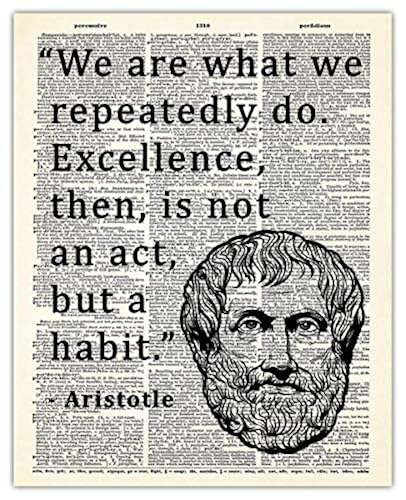 Inspirational Wall Art Poster: "We are What We Repeatedly Do" Aristotle ...