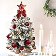 Amazon.com: Mini Christmas Tree 2ft Tabletop Small Christmas Tree, Table Top Artificial Snow ...