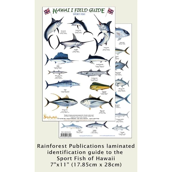 Aloha Joe In Hawaii A Visual Guide To Hawaii39s Reef Fish Reef Fish