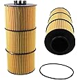 Amazon.com: LF17800 Oil/Lube Filter Replace P582506 A4711800009 ...