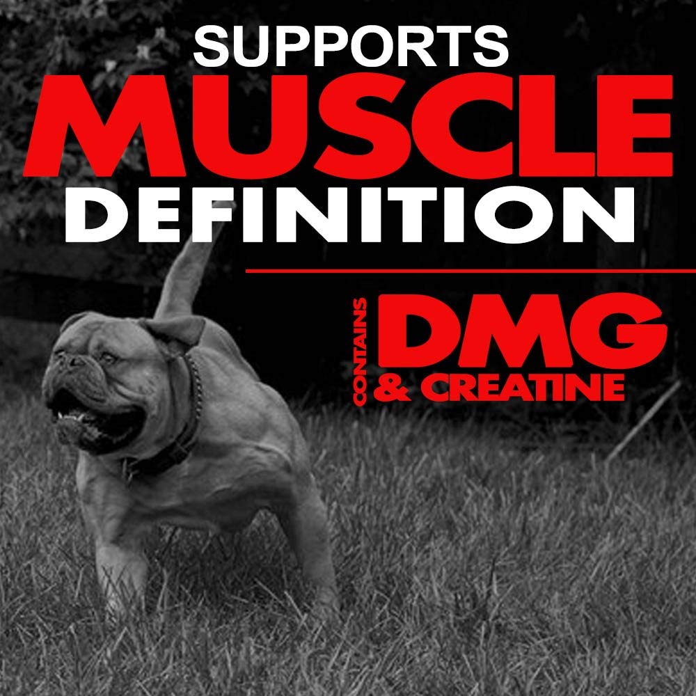 Mua Muscle Bully Muscle Builder for Dogs - Combines Clinically Proven ...