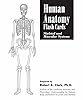 Human Anatomy FLASH CARDS: Skeletal and Muscular Systems in Oman ...