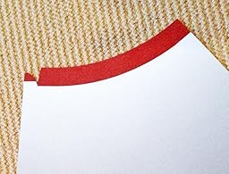 Amazon.com: Real FX Racing: Slotless Racetrack System including two RC ...