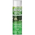 Amazon.com: Seymour 20-602 Grass and Shrub Renew Spray Paint, Pristine ...