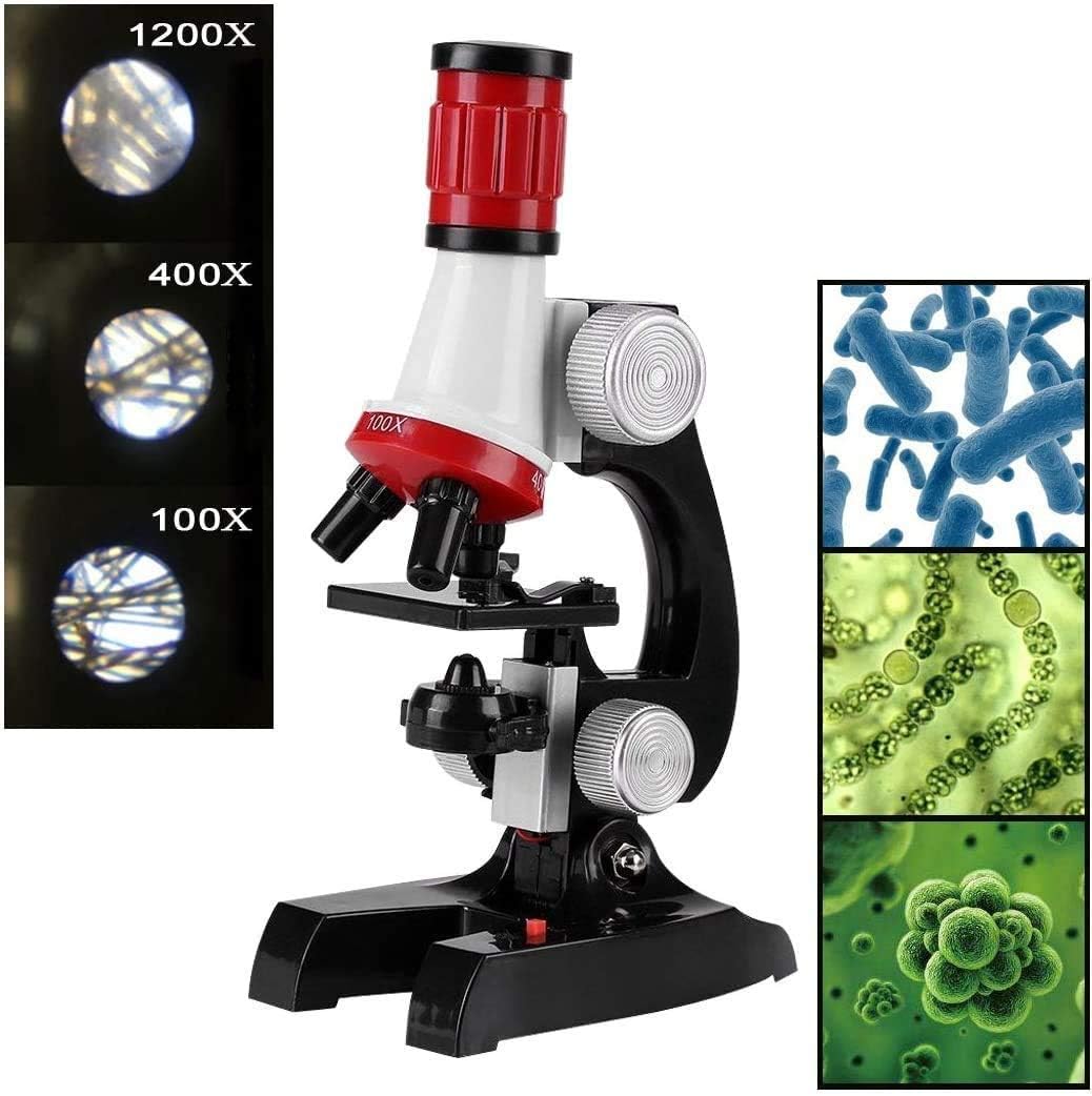 Microscope for Children Microscope 100 x 400 x 1200 x Magnification Set ...