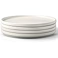 Amazon.com: AmorArc Stoneware Dinner Plates Set of 4, 10.25 Inch ...