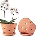 Amazon.com: 8 inch Terracotta Orchid Pots with Holes and Saucers, 2 ...
