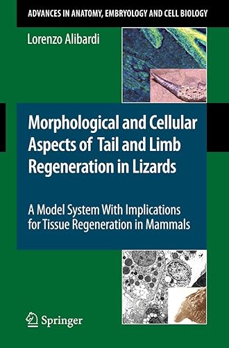Morphological and Cellular Aspects of Tail and Limb Regeneration in ...