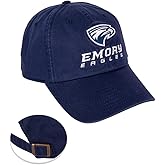 Amazon.com: Desert Cactus Hampton University Baseball Hat HU Virginia ...