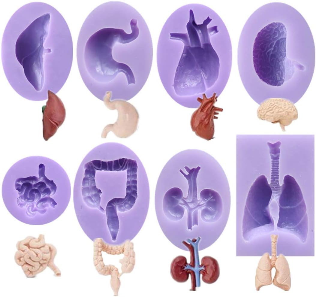 Amazon.com: Human Organs Shape Silicone Molds, Heart Liver Halloween ...