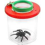 Amazon.com: Insert Bug Viewer Magnifier Backyard Explorer Insect Bug ...