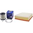 Amazon.com: iFJF TP1015 Fuel Filter and A3231C Air Filter Replacement ...