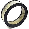 Amazon.com: Briggs & Stratton 394018S Round Air Filter Cartridge : Books