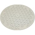Amazon.com: Hayward ECX1004 Replacement Tube Sheet Top/Bottom Pool ...