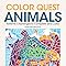COLOR QUEST ANIMALS: Amazon.de: Woodcock, John: Fremdsprachige Bücher