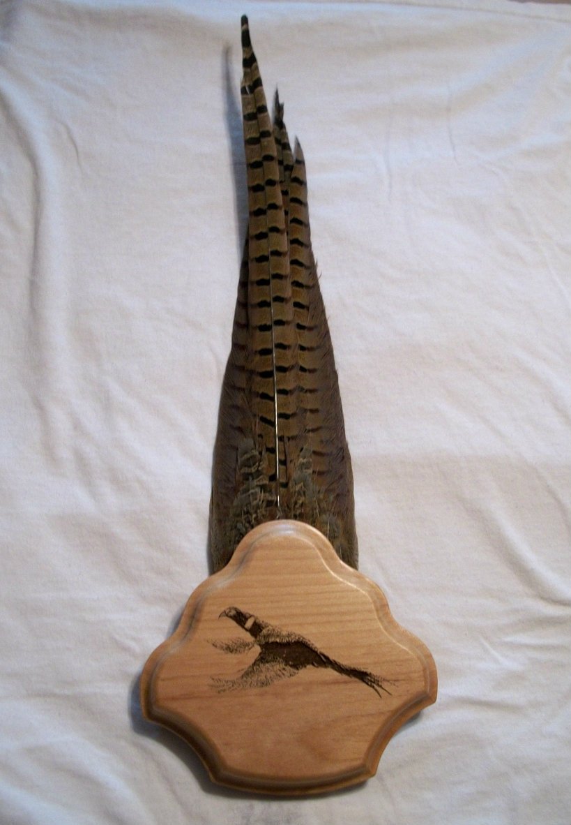 Amazon.com: Pheasant Plaque- Standard Hardwood: Handmade