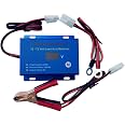 Amazon.com: Battery Desulfator Reconditioner Regenerator Revive ...