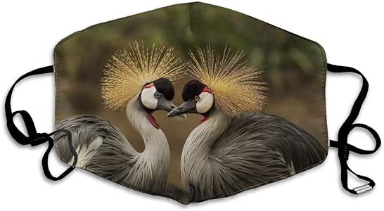 Sanghing Customized Grey-Crowned-Crane-Bird-Crane-Animal Comfortable ...