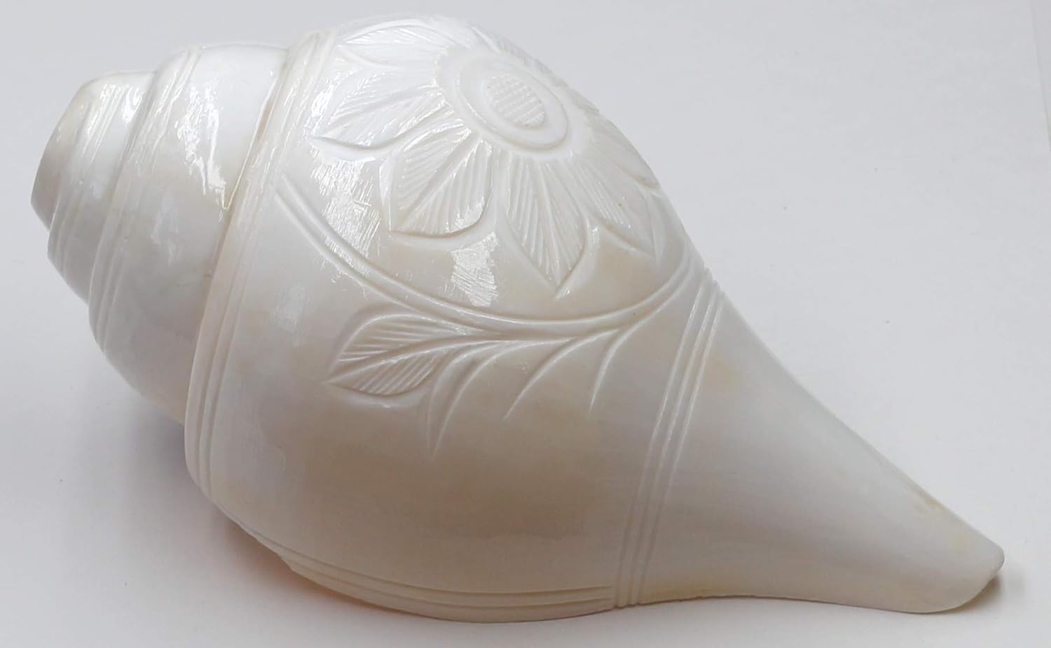 Buy CENTORGANIC Conch Shell Blowing Shankh for Pooja Original (16 cm ...