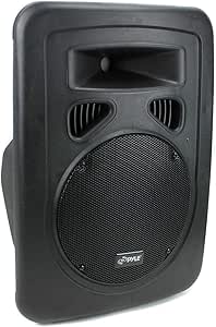 Amazon.com: Pyle-Pro PPHP1098A 600 Watt 10'' 2-Way Plastic Molded ...