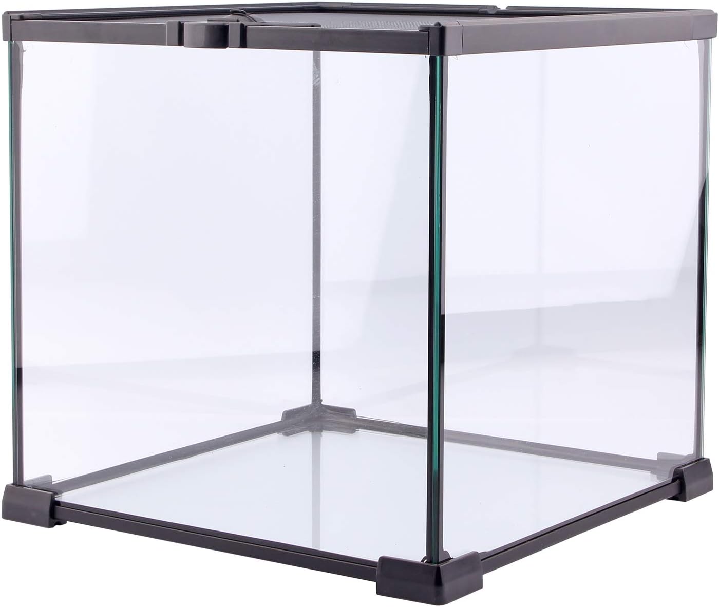 AIICIOO Reptiles Terrarium Breeding Box – Feeding Watch Transport Box ...