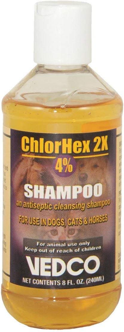 Chlorhex 2x Anti Fungal Shampoo 8 oz: Amazon.ca: Pet Supplies
