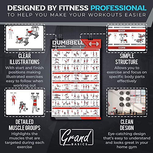 16-Pack Laminated Large Workout Poster Set - Perfect Workout Posters ...