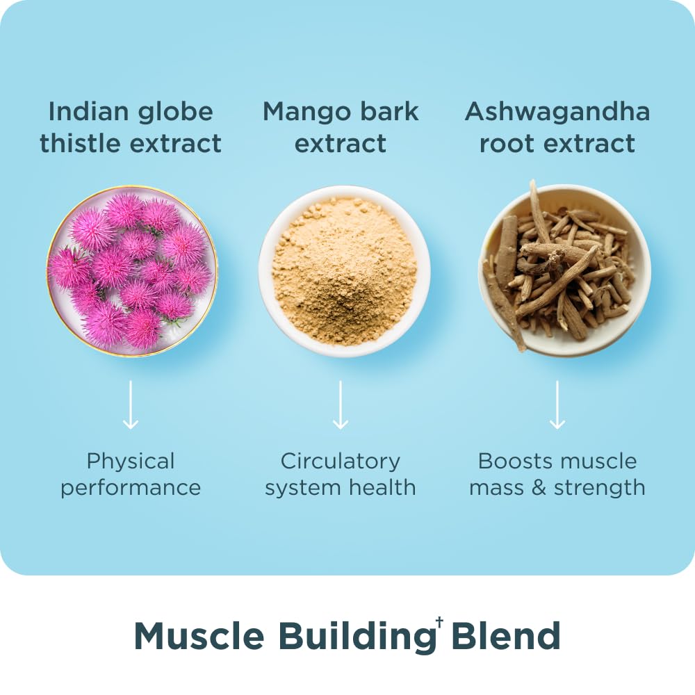 Mua Ancient Nutrition Advanced Multi Collagen Protein Capsules Muscle ...