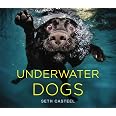 Amazon.com: Underwater Dogs: 9780316227704: Casteel, Seth: Books