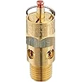 Milton S-1090-150 1/4" MNPT ASME Safety Valve - 150 PSI Pop off ...