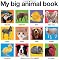 My Big Animal Book (My Big Board Books): Priddy, Roger: 9780312511074 ...