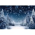 Amazon.com : Renaiss 7x5ft Winter Snow Forest Backdrop Snowflake Wonderland White Xmas Pine ...