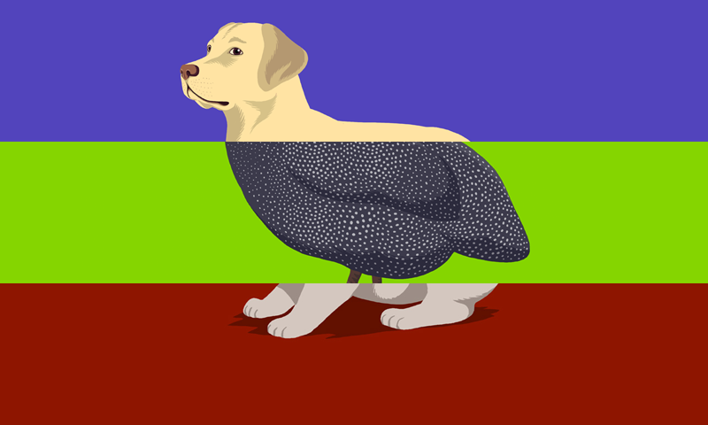 Farm Animals:Amazon.com:Appstore for Android