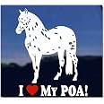 Amazon.com - I Love My POA ~ Pony of The Americas Horse Trailer Vinyl ...