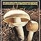Mushrooms Demystified: Arora, David: 9780898151695: Amazon.com: Books