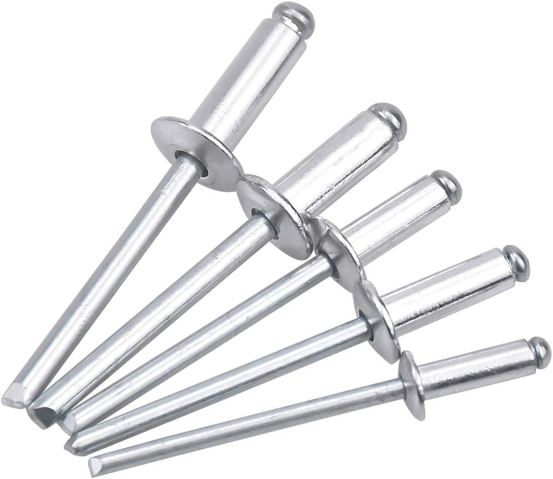 100PCS Head Rivets, 3.2mm, 4mm, 4.8mm Pop Rivets Assortment, Large ...