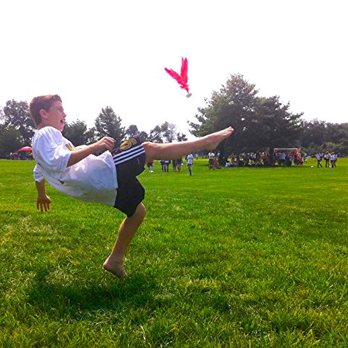 VIAHART Kikbo Jianzi Kick Shuttlecock Double Pack (Chapteh, Da Cau ...