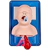 Neonate Trachea Intubation Training Model, Intubation Manikin Teaching ...