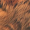 Amazon.com: Faux / Fake Long Pile Fur Mongolian DARK CAMEL Fabric / 1 YARD